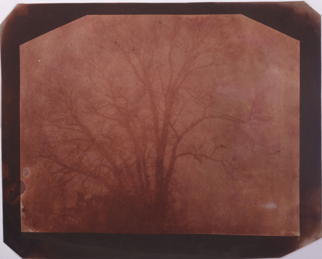 William Henry Fox Talbot and the Promise of Photography — Carnegie ...
