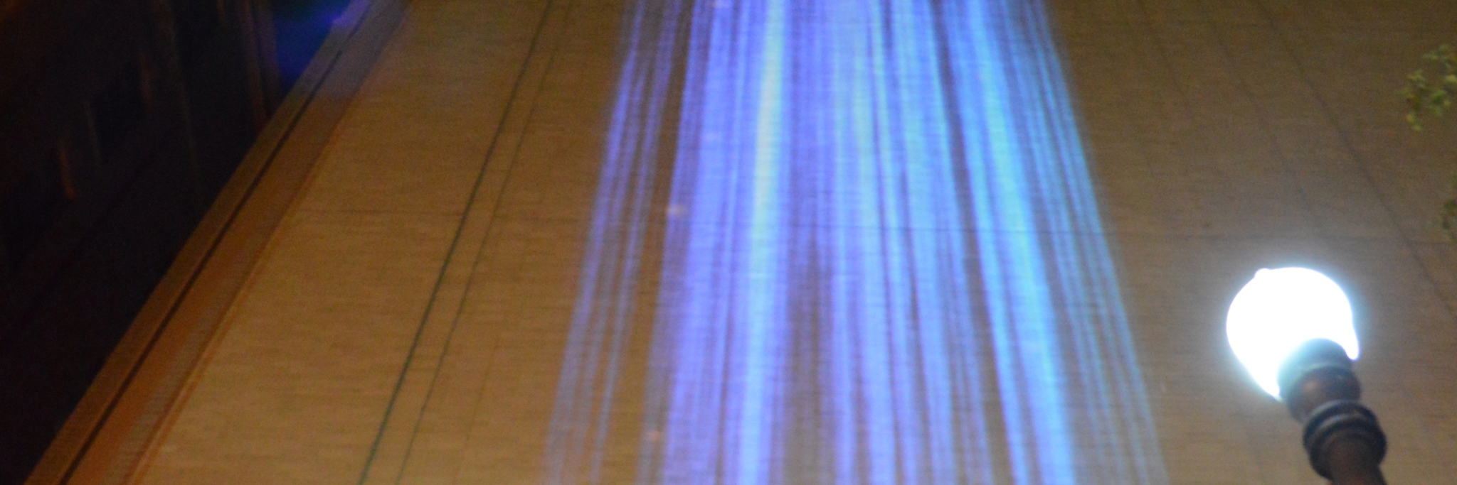 Lightime: Light + Environmental Sustainability — Carnegie Museum of Art