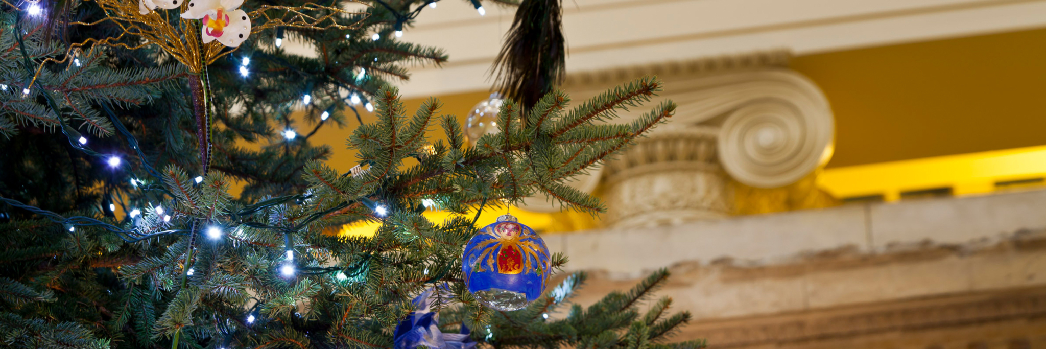 Carnegie Trees — Carnegie Museum of Art