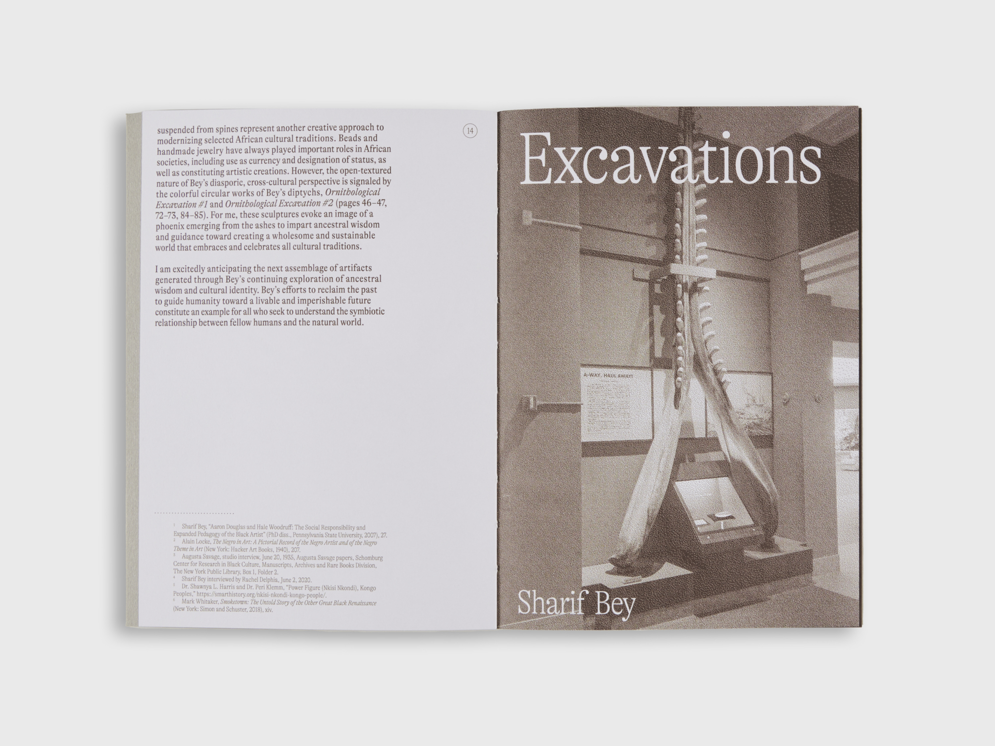 Sharif Bey: Excavations — Carnegie Museum of Art