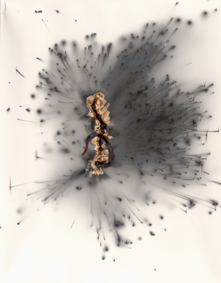Controlling the Chaos — Carnegie Museum of Art