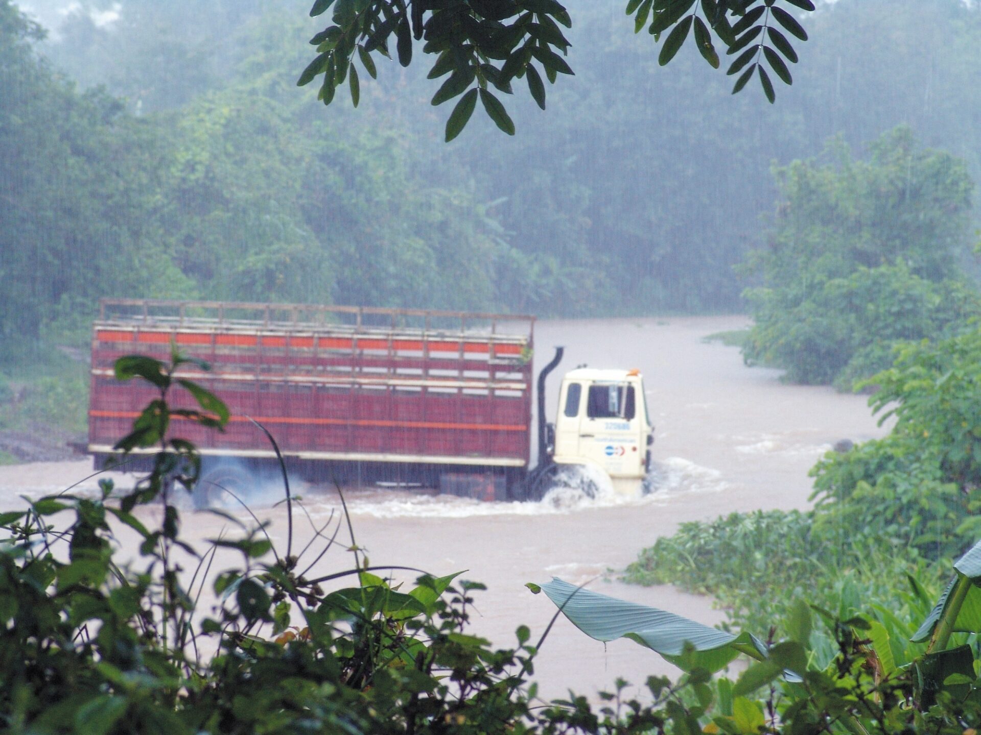 El Inmortal (The Immortal) — Carnegie Museum of Art