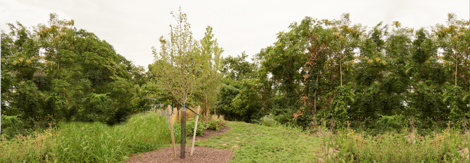 Refractions: 58th Carnegie International Conversation Series Archives ...