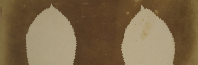 William Henry Fox Talbot and the Promise of Photography — Carnegie ...
