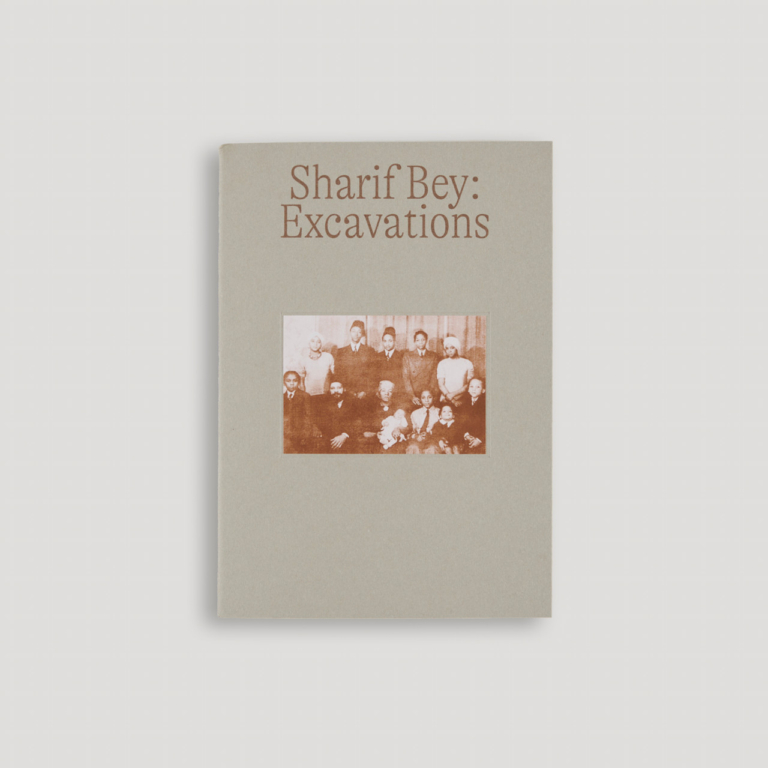 Sharif Bey: Excavations — Carnegie Museum of Art