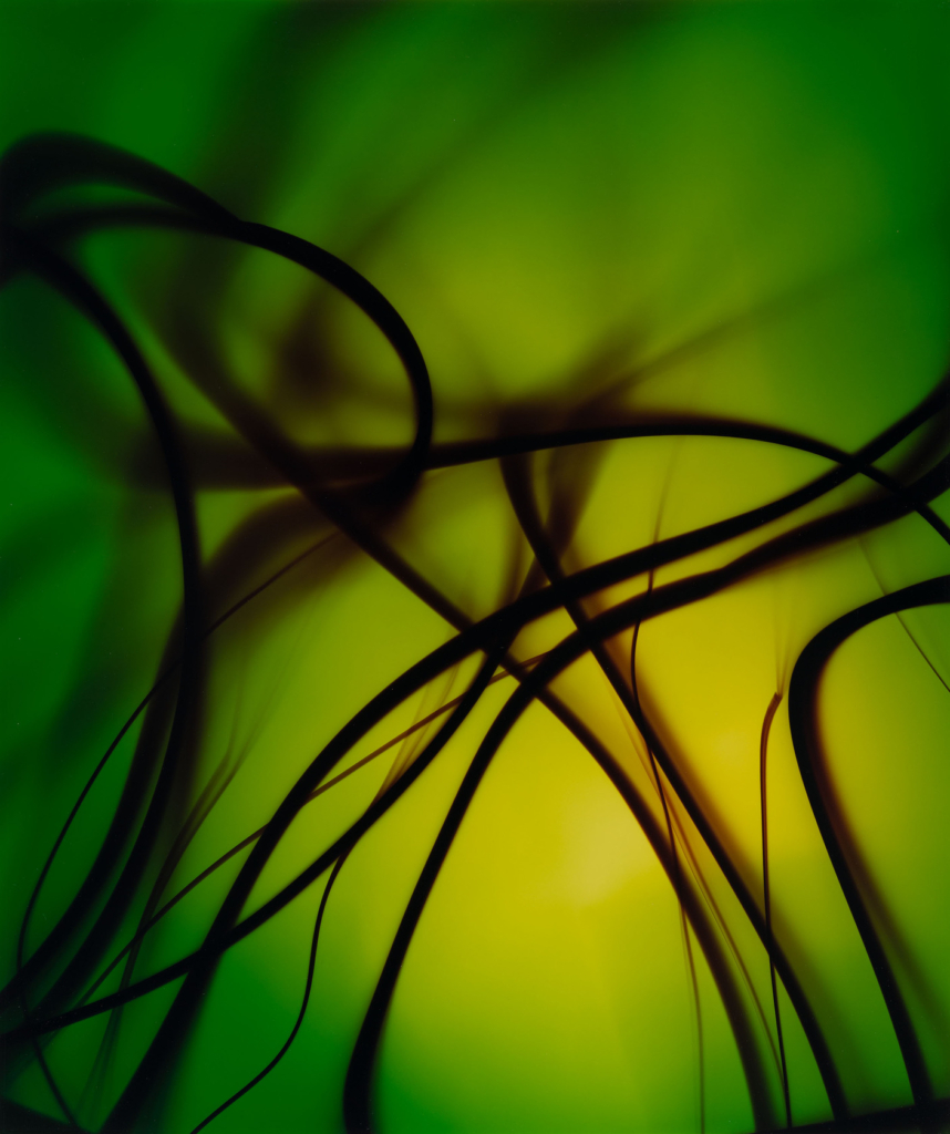 Controlling the Chaos — Carnegie Museum of Art