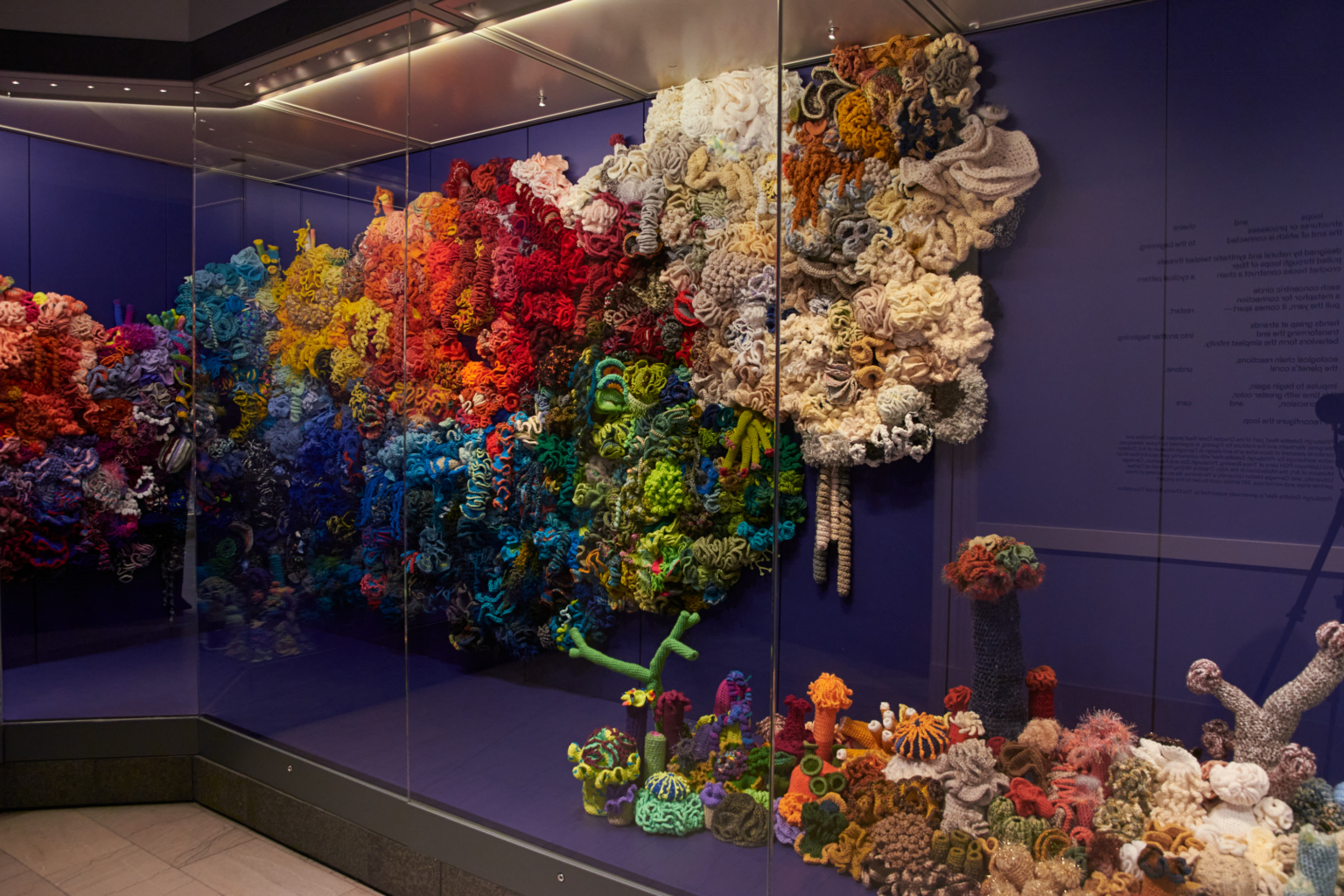 Pittsburgh Satellite Reef — Carnegie Museum of Art