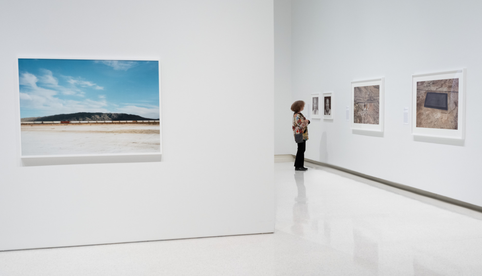 Widening the Lens: Photography, Ecology, and the Contemporary Landscape ...