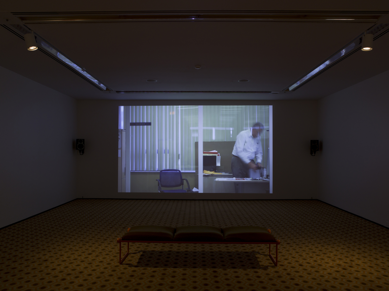 David Hartt: Stray Light — Carnegie Museum of Art