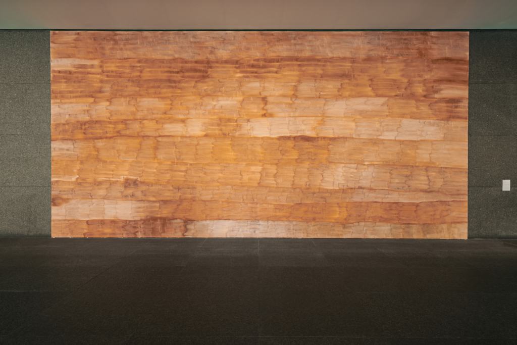 Krista Belle Stewart Archives — Carnegie Museum of Art