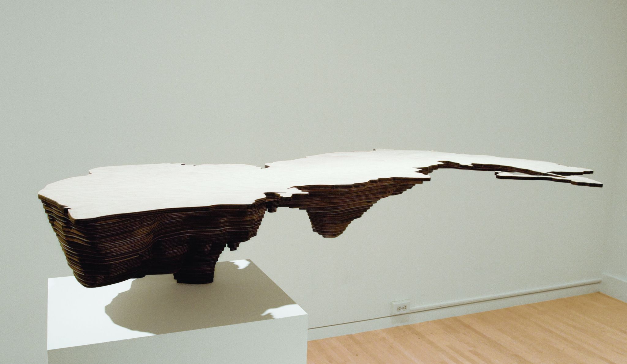 Maya Lin — Carnegie Museum of Art