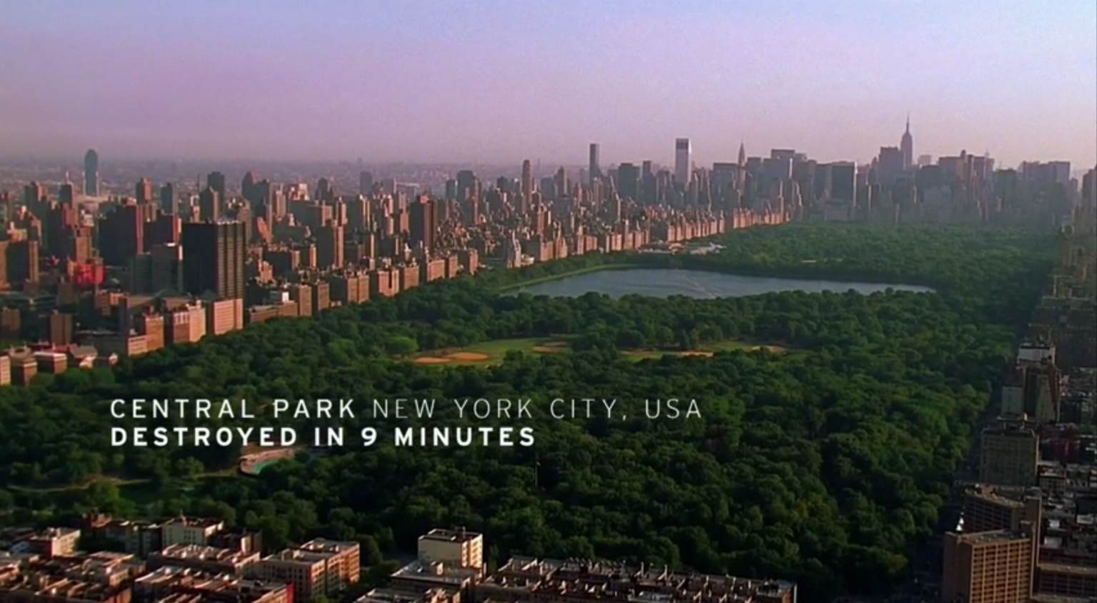 Maya Lin — Carnegie Museum of Art