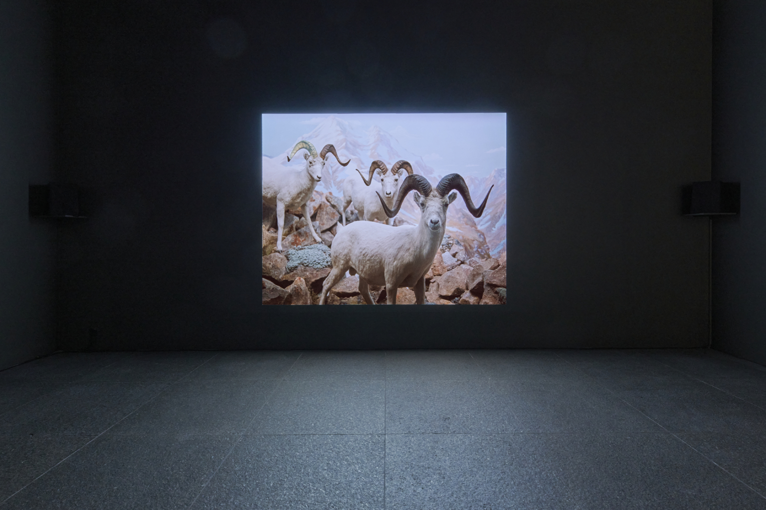 Carnegie Museum of Art