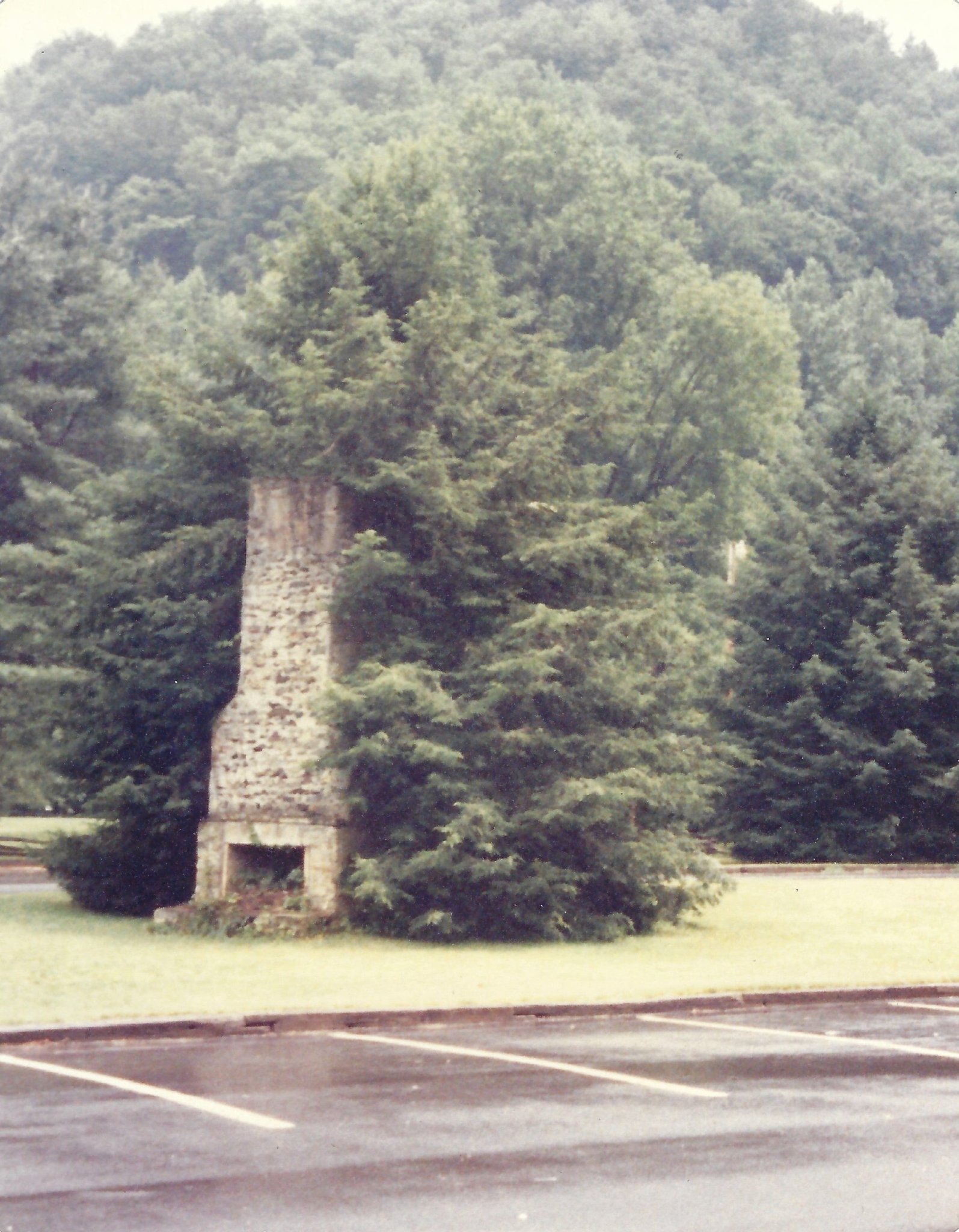 Events Calendar — Carnegie Museum of Art