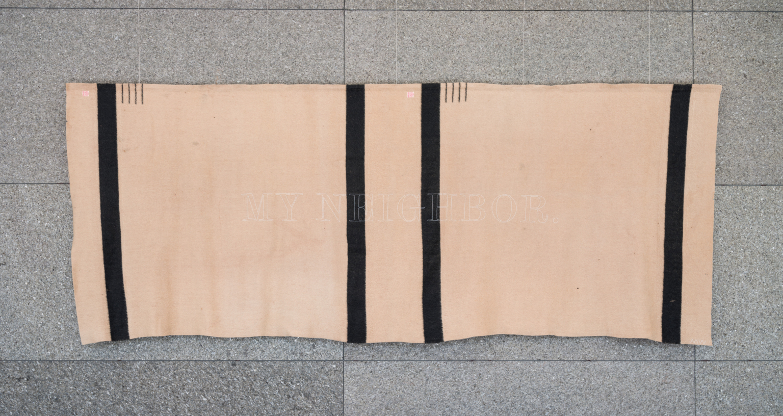 Marie Watt: LAND STITCHES WATER SKY — Carnegie Museum of Art