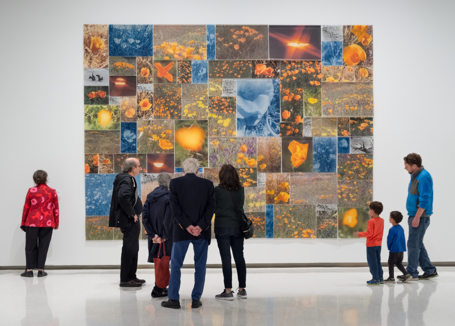 What’s on View — Carnegie Museum of Art