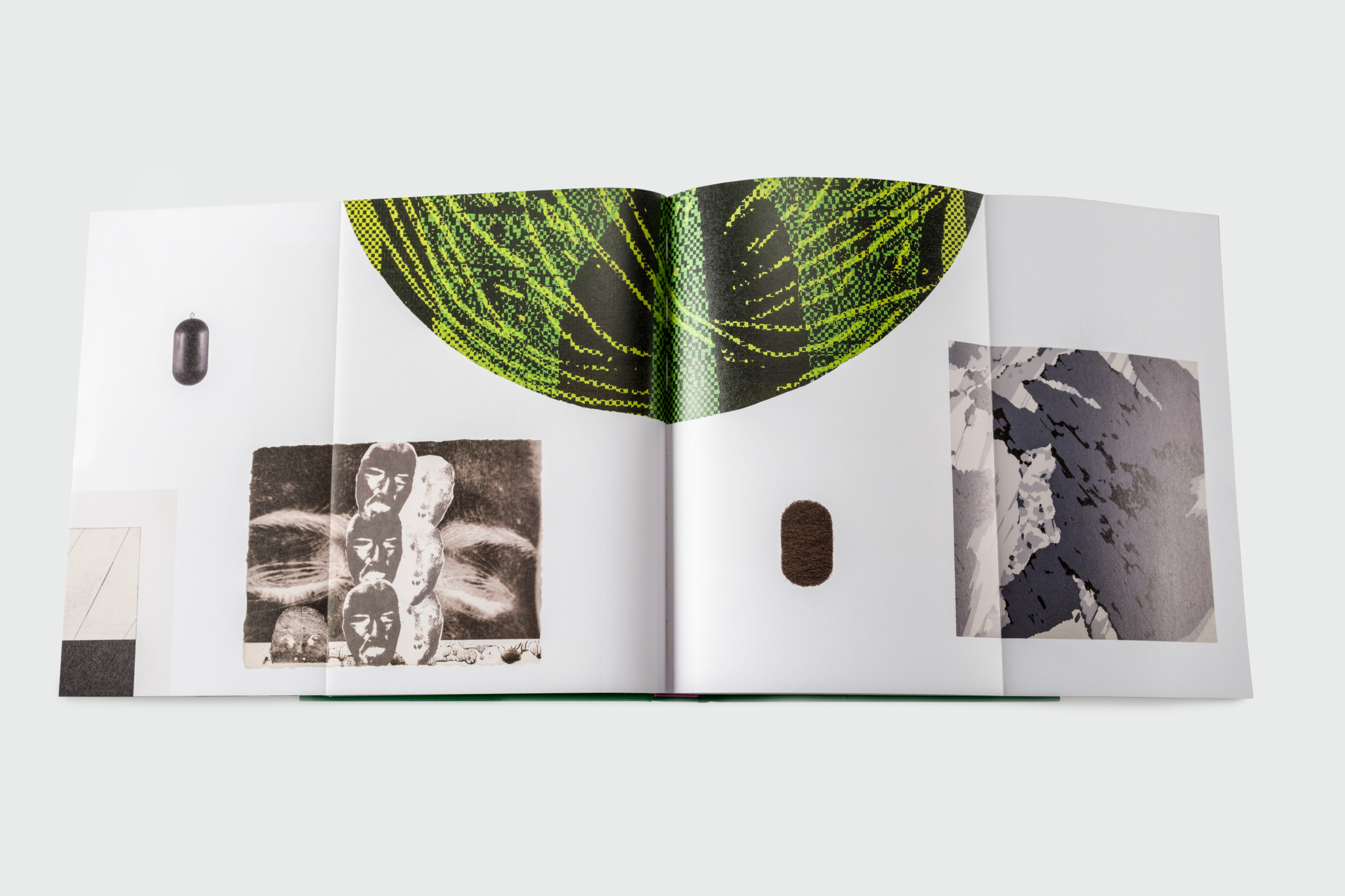 The Milton and Sheila Fine Collection — Carnegie Museum of Art