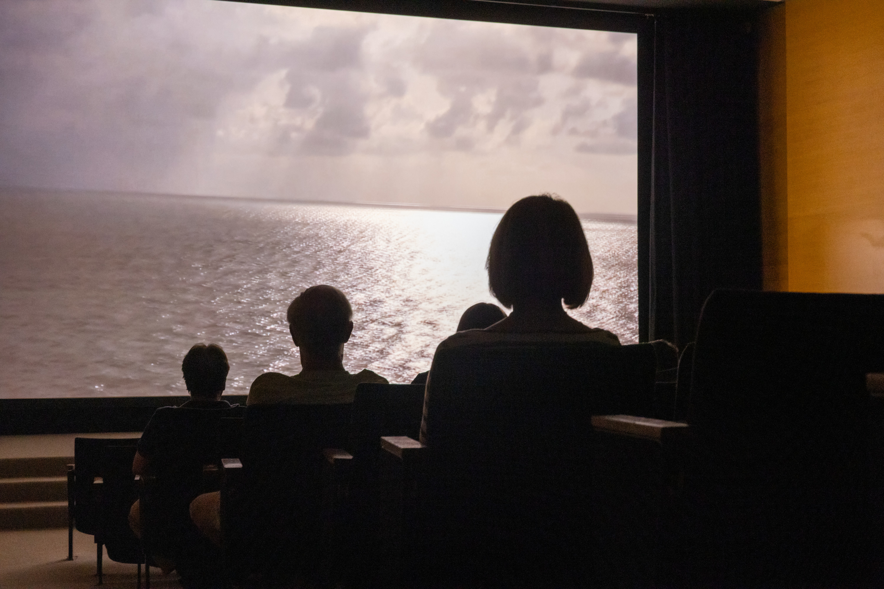 Carnegie Museum of Art Film Series — Carnegie Museum of Art