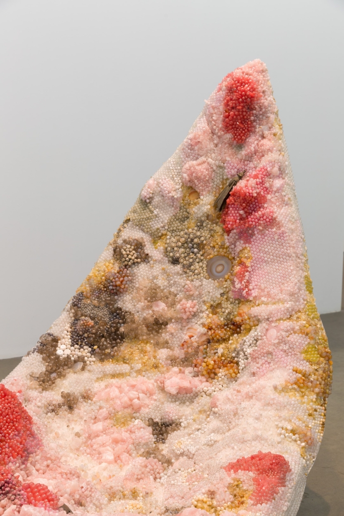 Kathleen Ryan — Carnegie Museum of Art